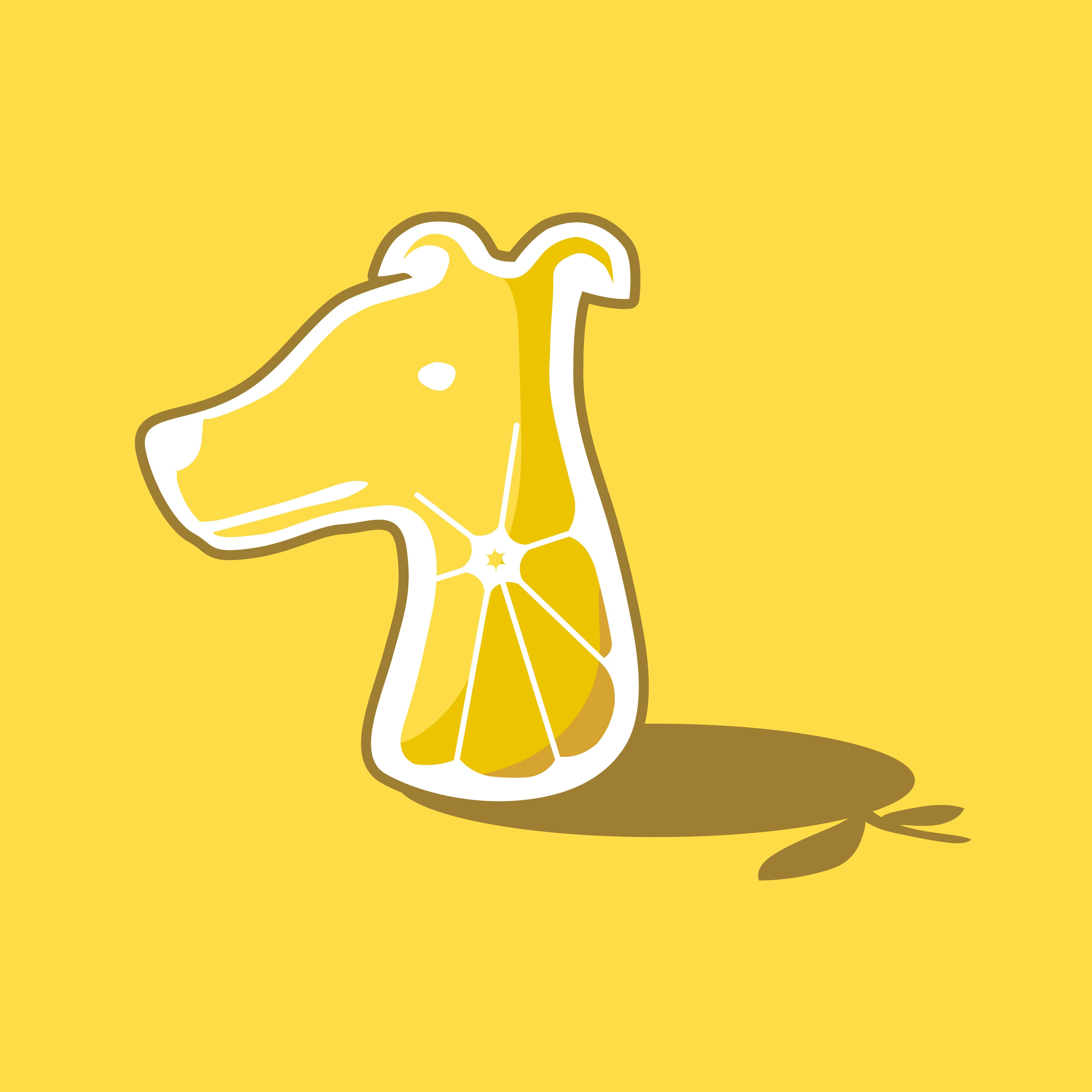 Smileyhound "Colour Fruits" Spring / Summer 2024 – SMILEYHOUND BY GREYHOUND