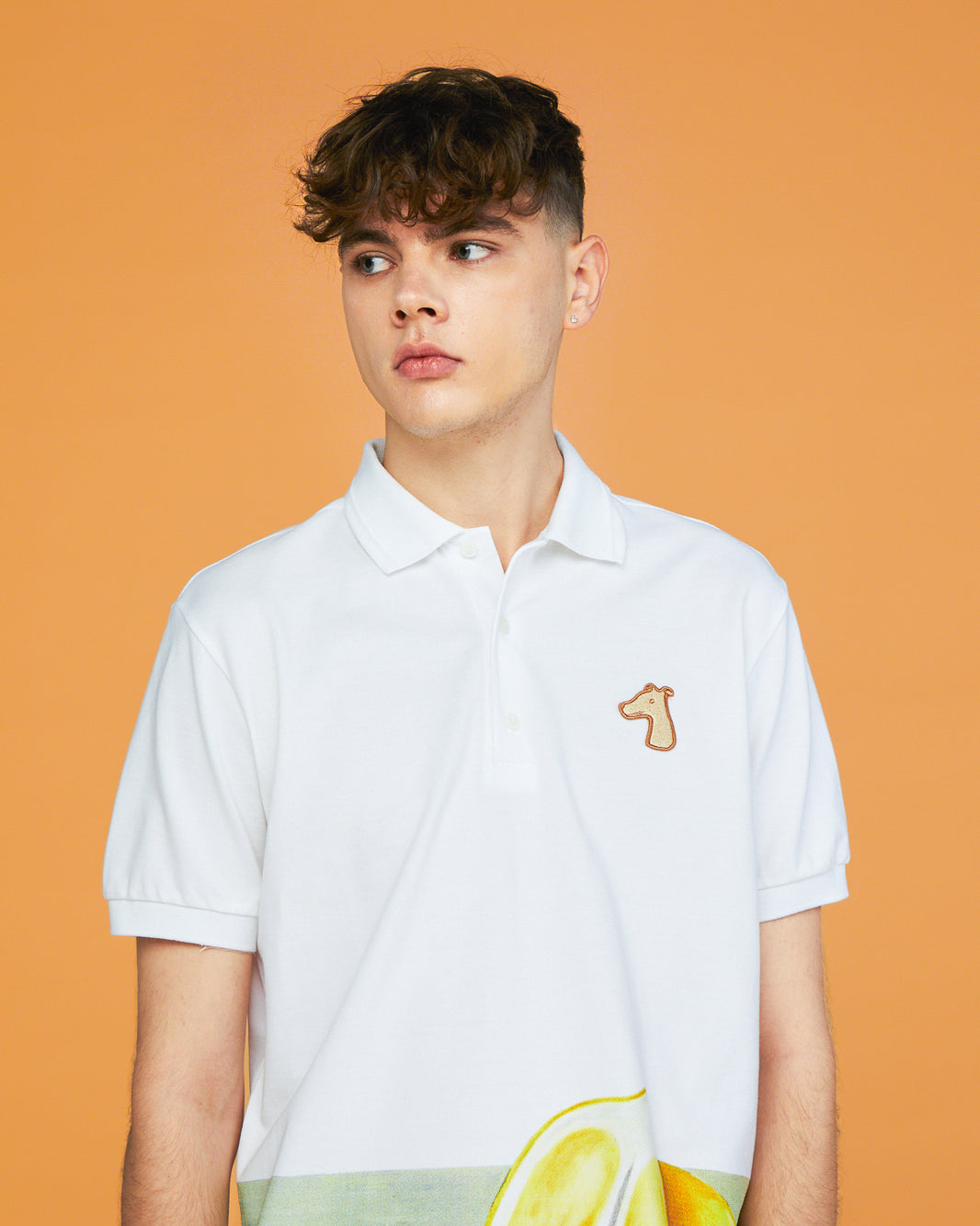 SMILEYHOUND – SMILEYHOUND BY GREYHOUND